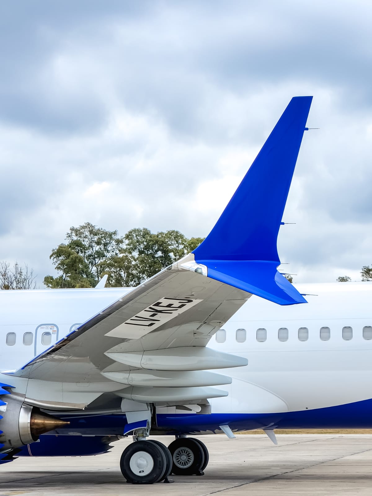 Llego Un Nuevo Boeing 737 Max Que Se Suma A La Flota De Aerolíneas